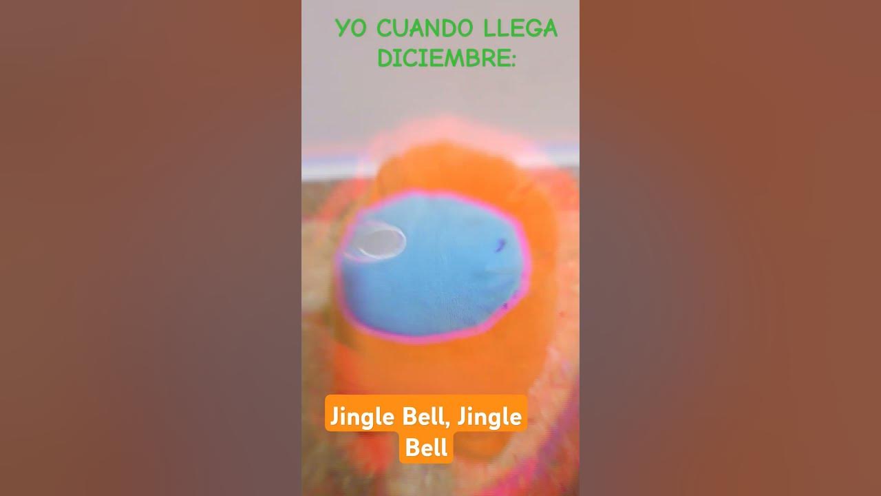 Feliz Navidad Para Todos Ustedes (Modo Jingle Bells) - YouTube