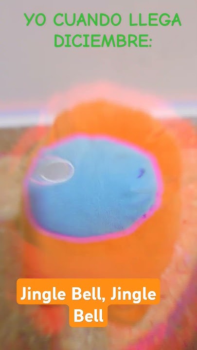 Feliz Navidad Para Todos Ustedes (Modo Jingle Bells) - YouTube