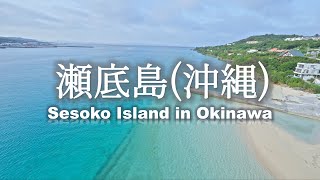 Sesoko Jima - World Islands