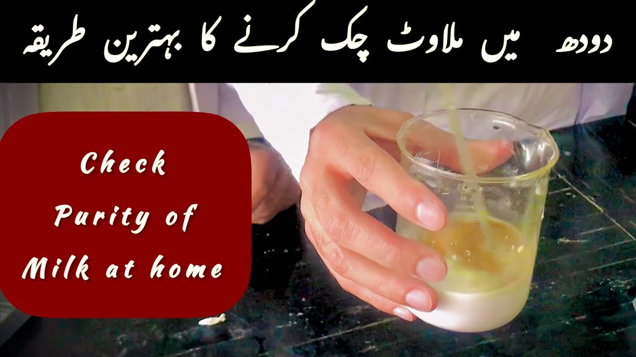How to Check Purity of Milk at Home | Best Way to Check Purity ...