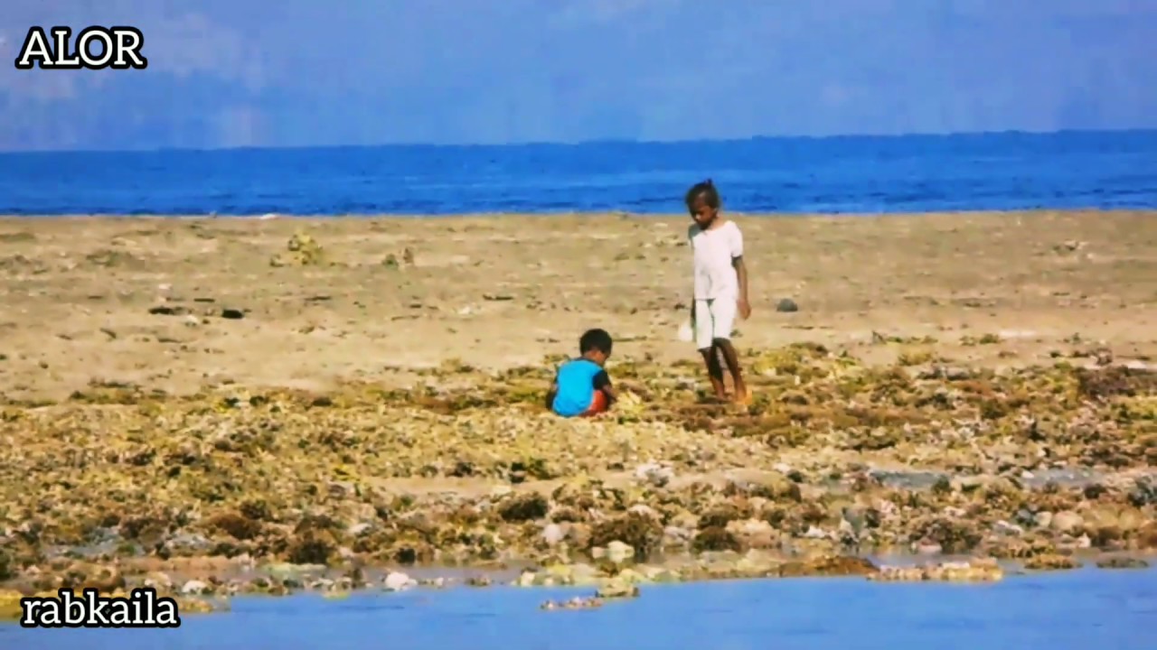 Alor NTT Pantai Tempat Wisata Terbaik - YouTube