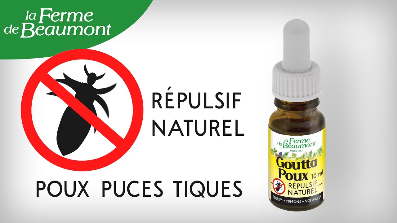 GouttaPoux - répulsif naturel contre les poux rouges des poules - Ferme ...