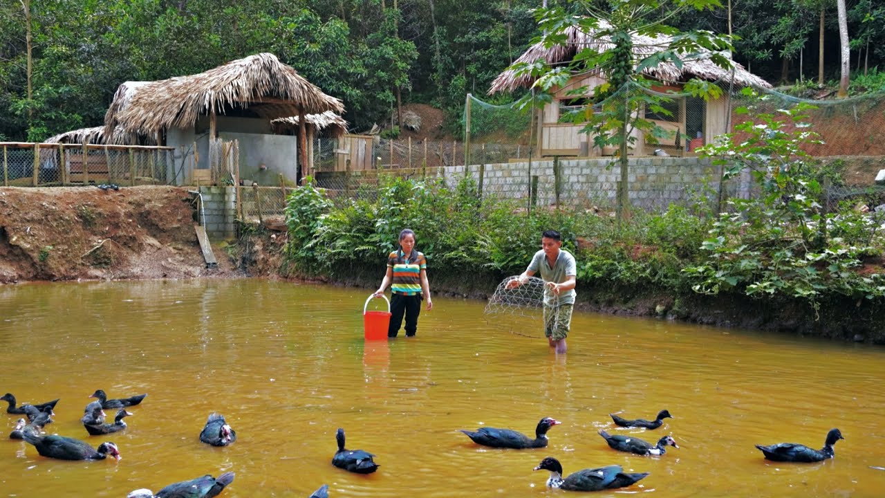 With his wife to repair the farm, our peaceful life, Building a new ...