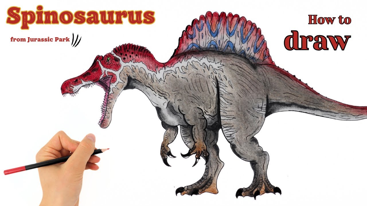 Jurassic Park 3 Dinosaurdiagram Spinosaurus Jurassic Park 3 Rigged And