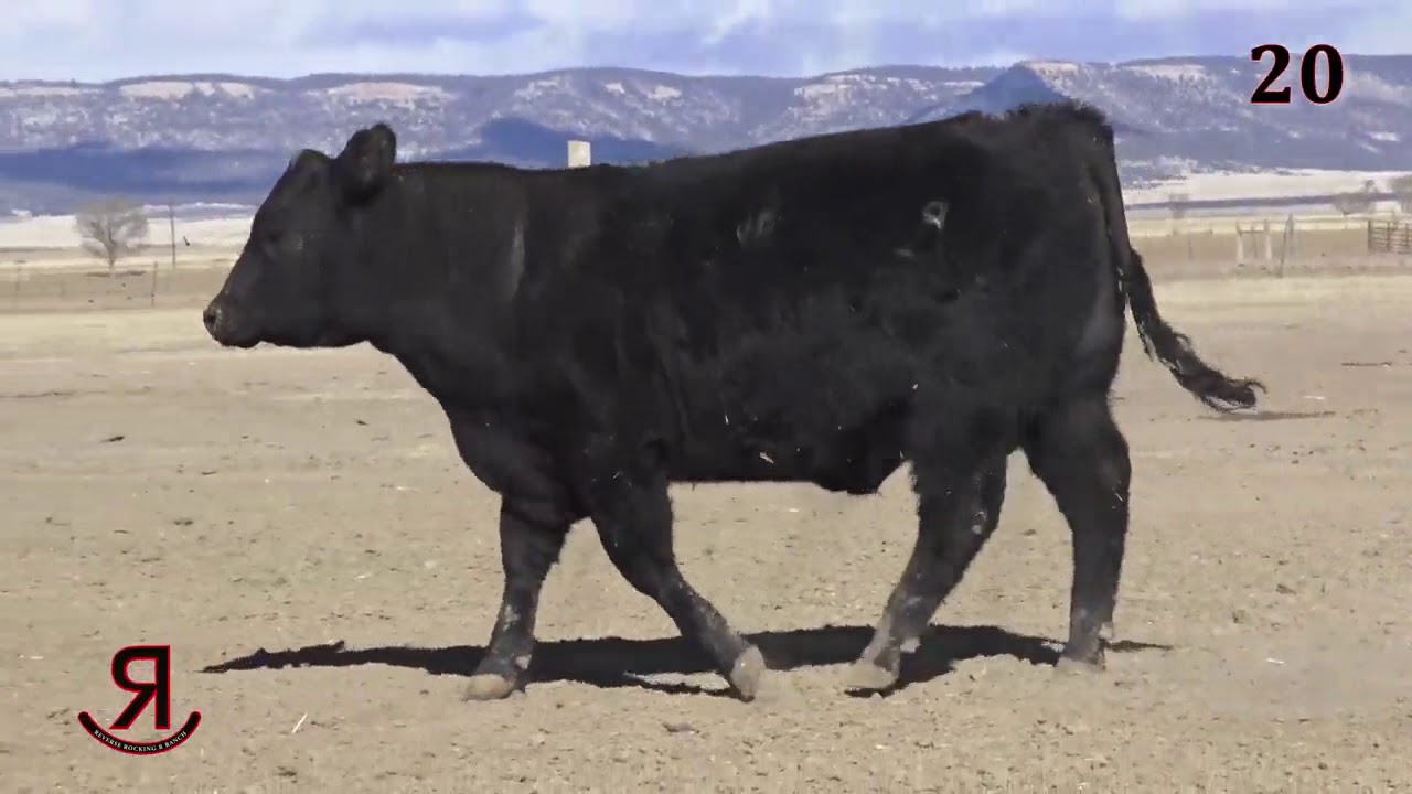 Reverse Rocking R Ranch Lot 20 - YouTube