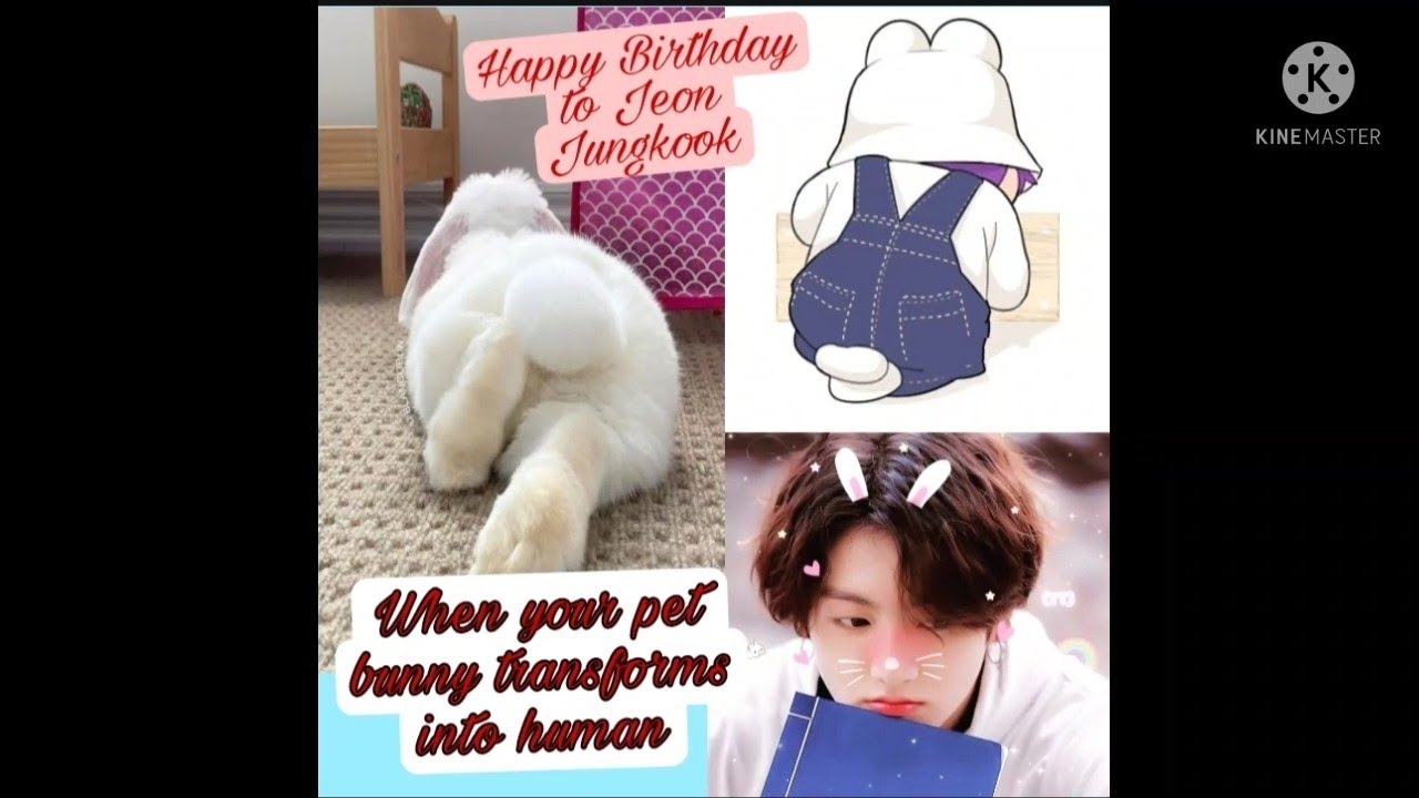 (BONUS) My Pet Bunny / Jk ff - YouTube
