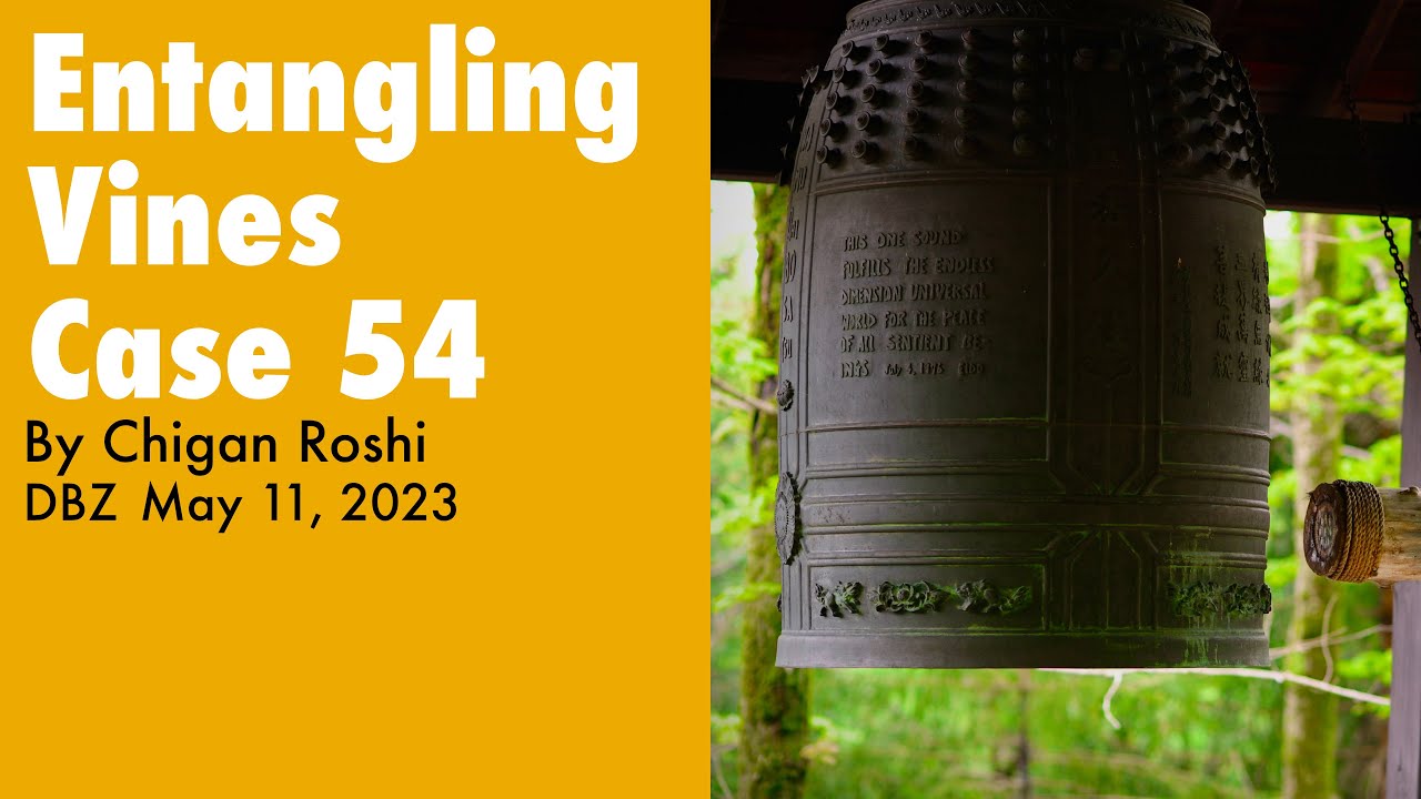 Entangling Vines Case 54: Juniper Tree Carrying Bowls, Teisho by Chigan ...