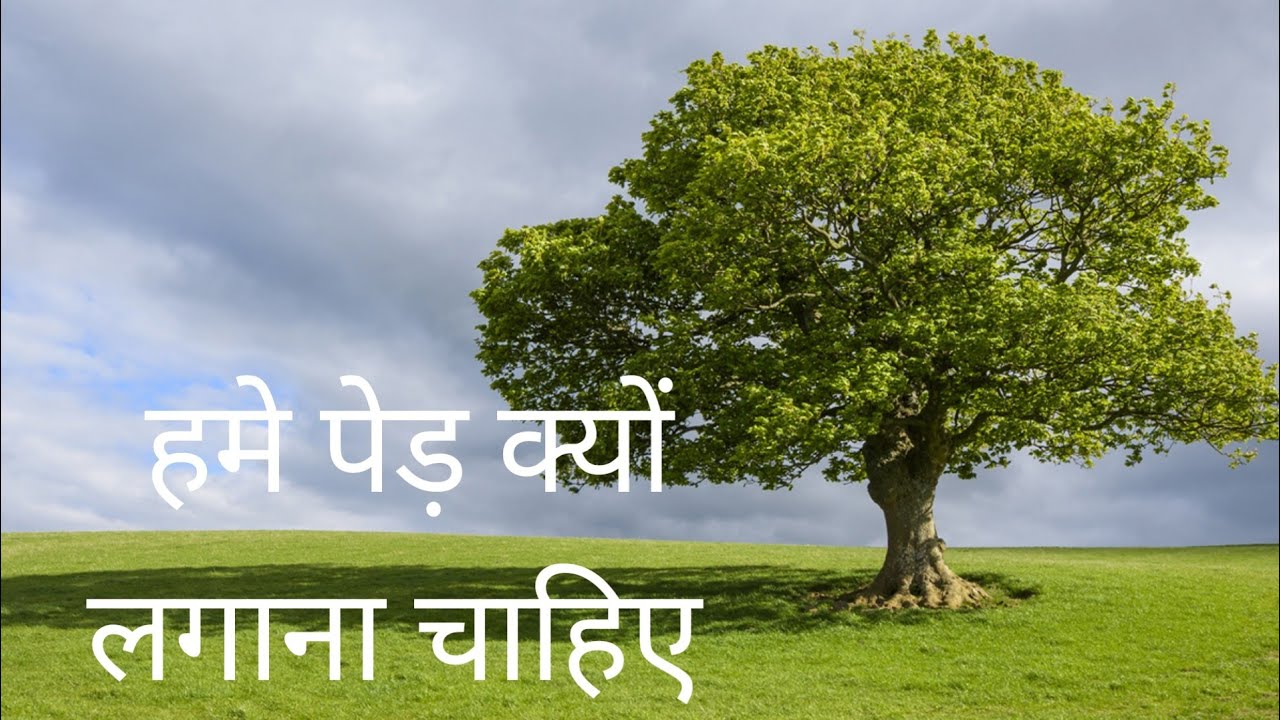 Hame tree kyu lagana chahiye/Motivational story/Hindi kahani/Moral ...