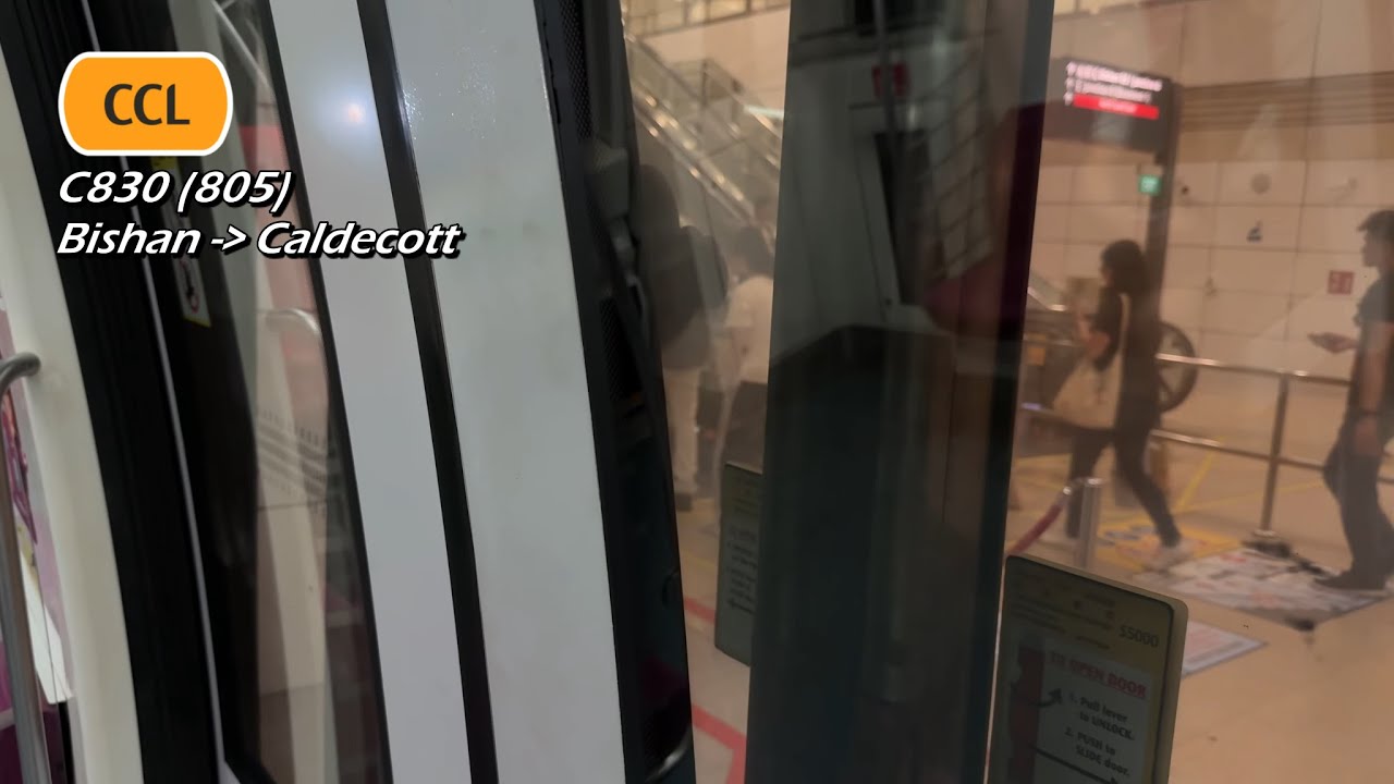 (Interesting deceleration) SMRT - ALS C830 (805) (Bishan » Caldecott ...