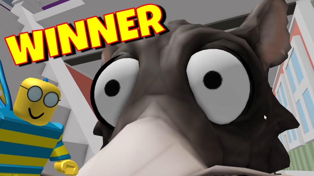 Find The Cheese Winner! - [Play with Hoops for a Day] - YouTube