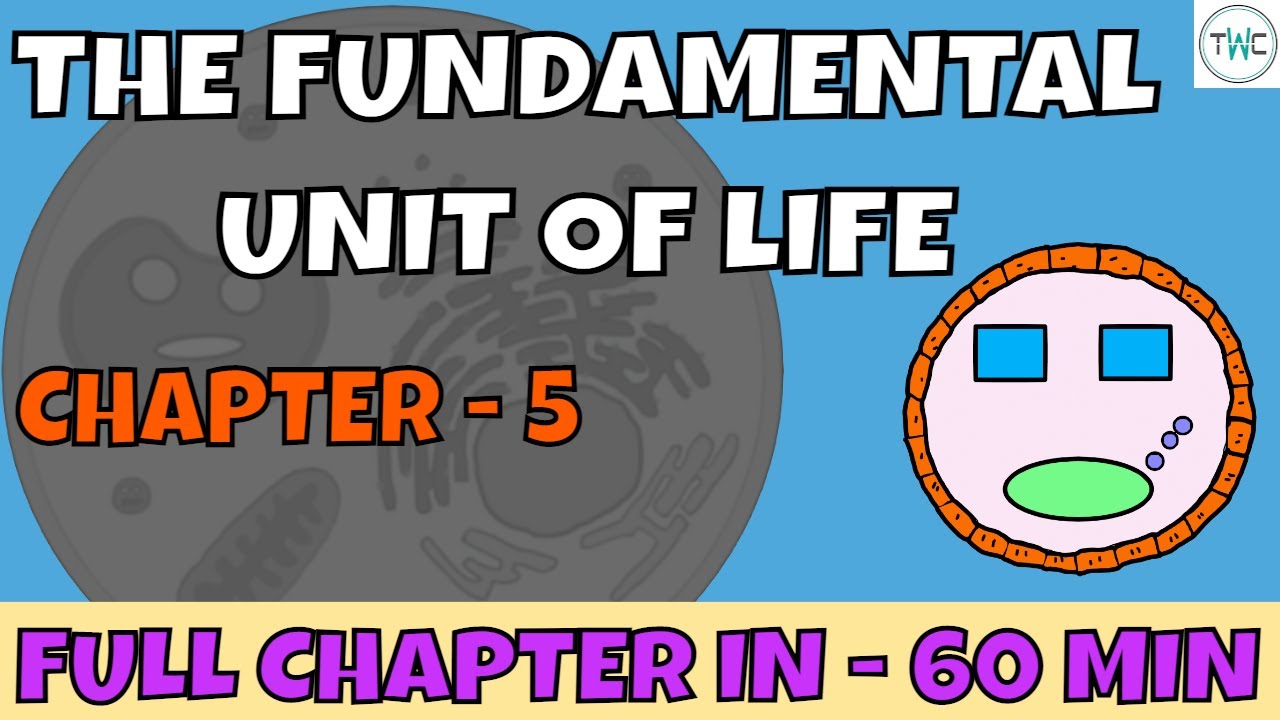 The fundamental unit of life class 9 animation / One shot - YouTube