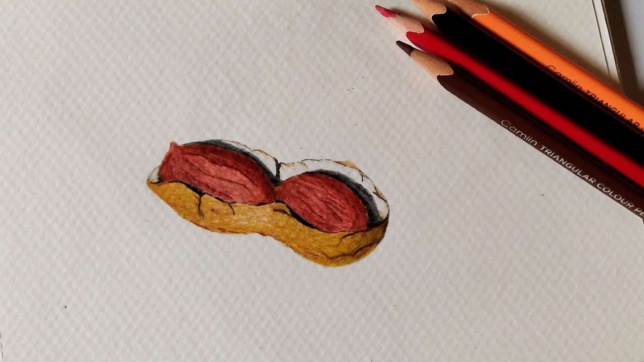 How to Draw a Realistic Peanut with Colored Pencils 🥜 - YouTube
