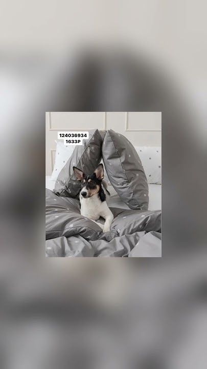 Классное постельное белье из Вайлдберриз #wildberriesнаходки - YouTube