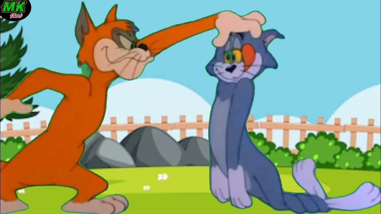 Tom and Jerry Cartoon🔥Comedy network !! fighting Tom & Jerry ...
