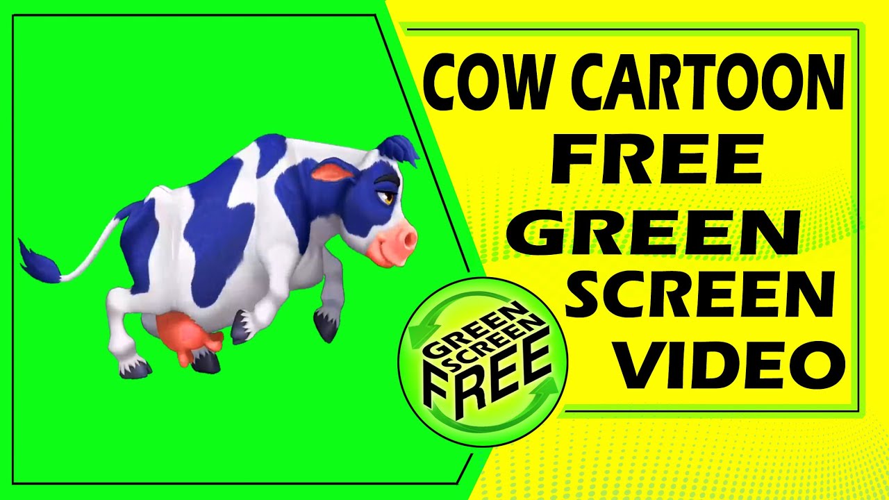 cow green screen | green screen cow | green screen cow running | cow ...