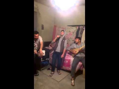 Duz Cirdaxan usaglari dagistanda