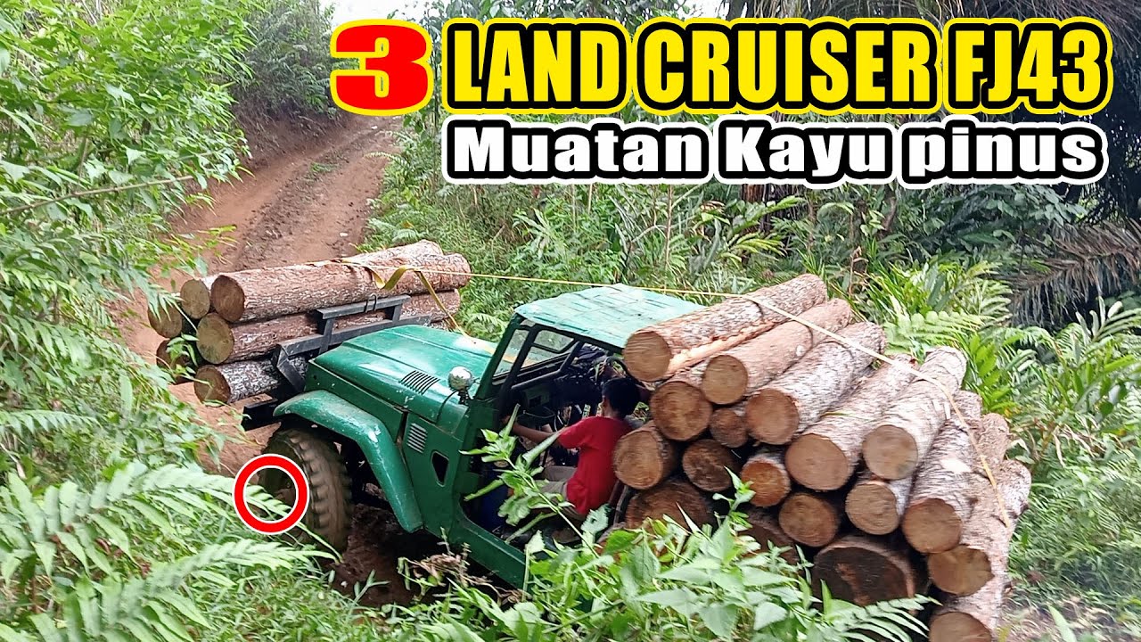 Bobot 12ton KAYU PINUS - 3 LAND CRUISER BJ43 - HARDTOP 4X4 1982 - YouTube