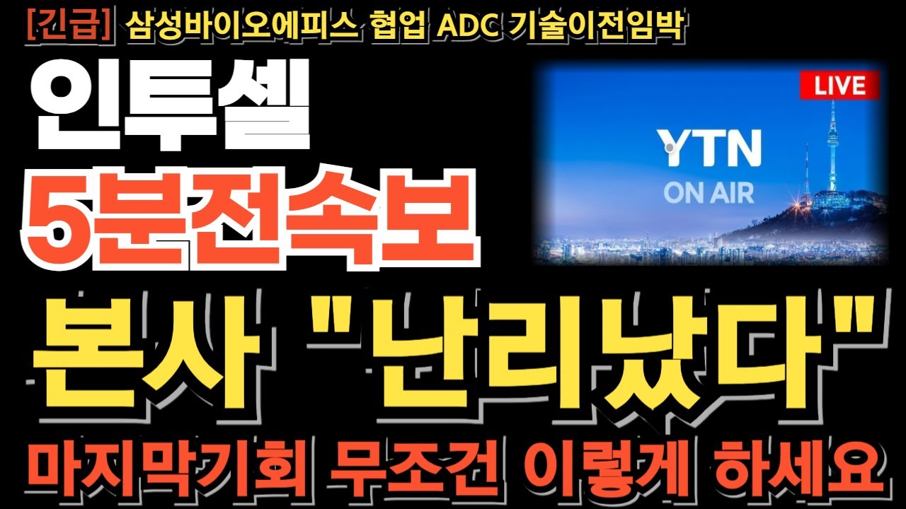 인투셀 주가전망 긴급 본사 난리났다 마지막기회 세력풀매수 고점은 이때 나옵니다 Adc 플랫폼 기술이전 임박 재료