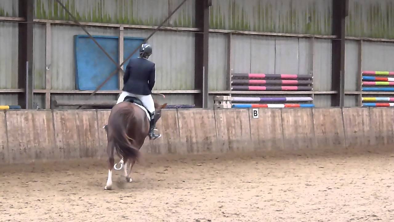Proef 8 klasse L1 KNHS | Manege de Hoef | Lara's Paardenwereld - YouTube