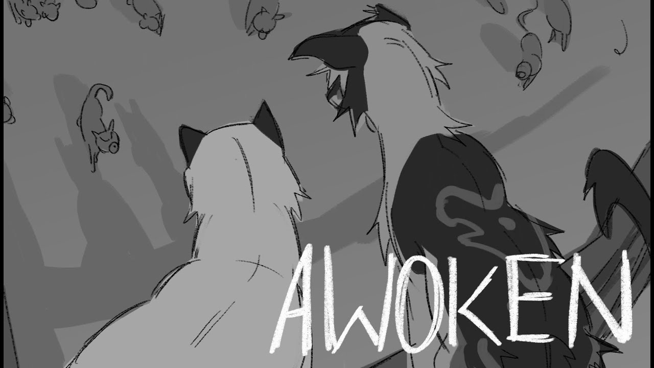 Awoken // warriors Sol & Blackstar // PMV - YouTube