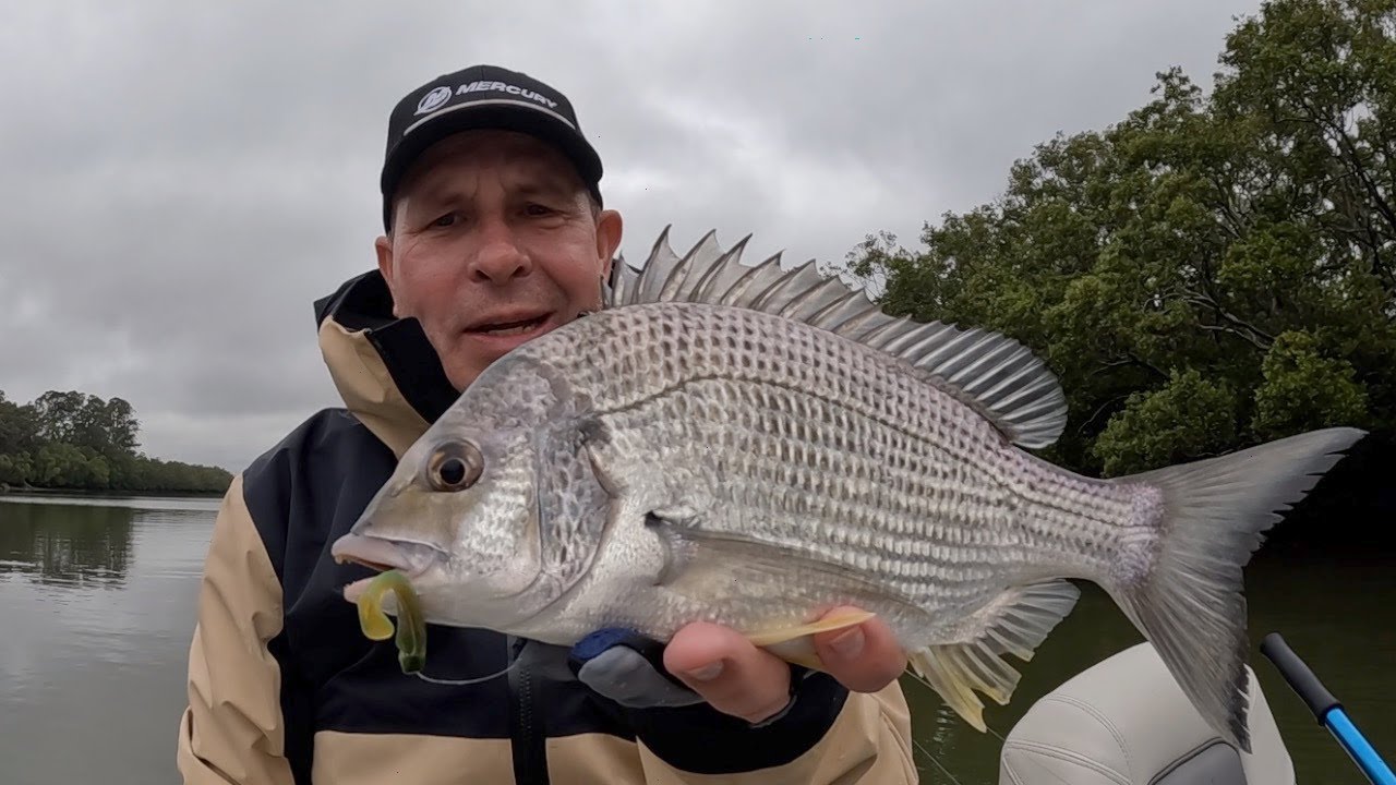 PTP Fishing - Will it stop raining - Logan River - YouTube