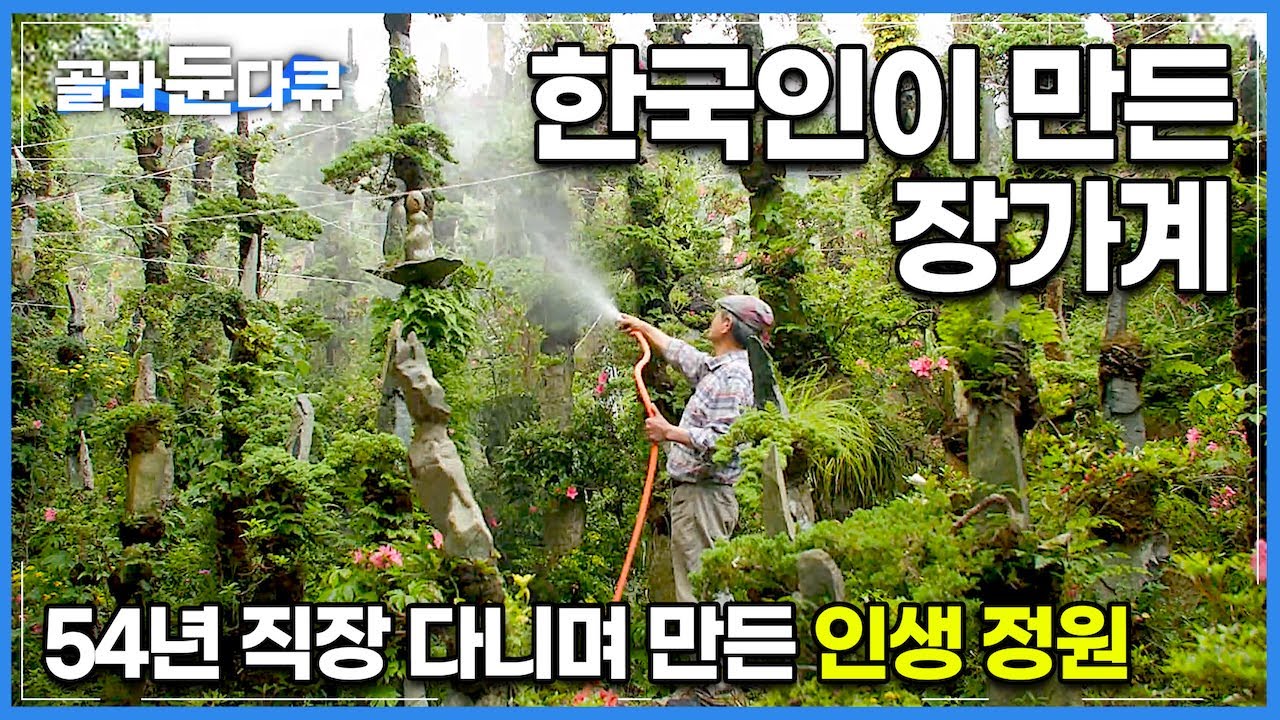 직접 개발한 8미터 초대형 석부작으로 중국의 장가계를 한국에 그대로 옮겼다 │돌끼리 붙여 나무 만들었더니 걸작 탄생했다 나만의