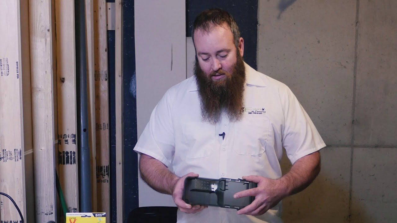 Best Mouse Traps of 2021 - YouTube