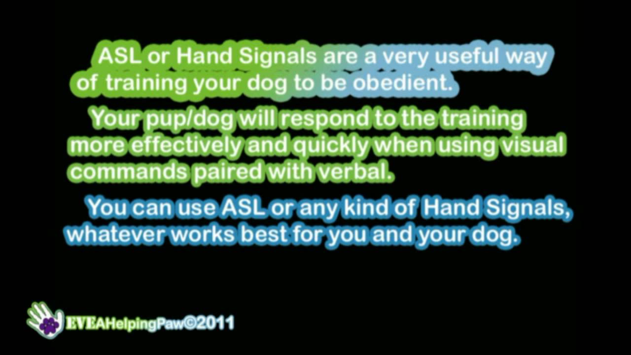 Dog Training - ASL and Hand Signals - YouTube