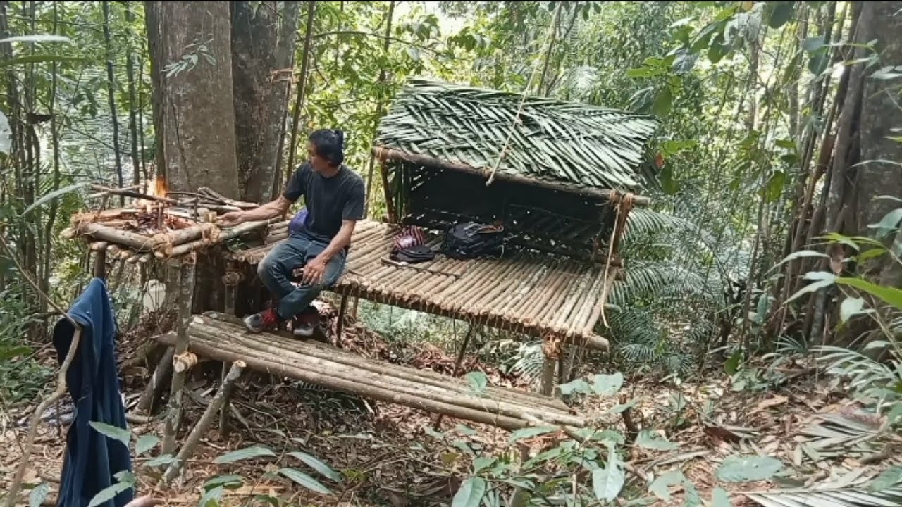 alone bushcraft in the forest make a safe haven from wild animals and ...