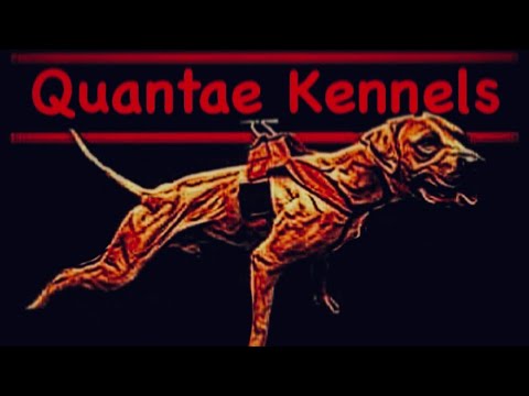 Quantae Kennels Season3 Episode 7 - YouTube