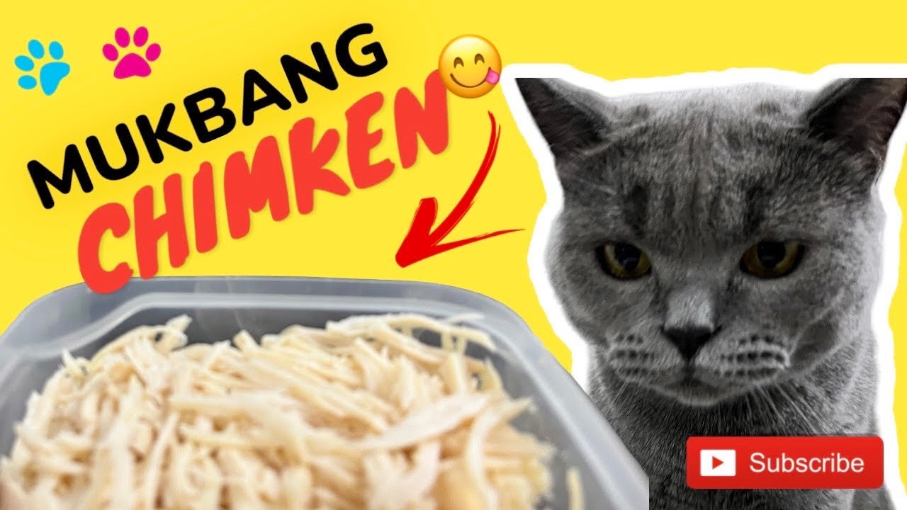 MUKBANG CHIMKEN ( ASMR )😸 KITTY VLOGS | Cat Eating Chicken Food | Cat Edition - YouTube