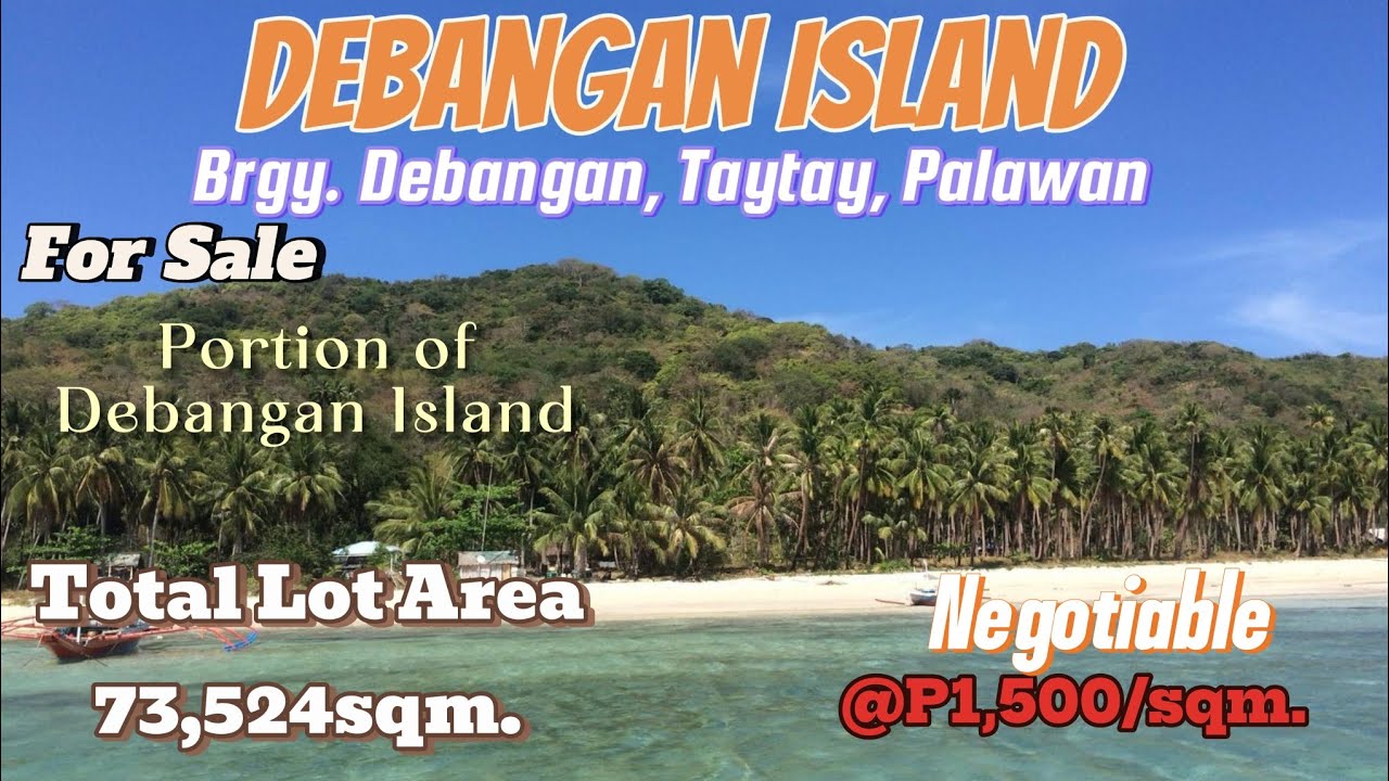 Debangan Island Brgy Debangan Taytay Palawan Portion of the Island LA-73,524sqm @P1,500/sqm ...