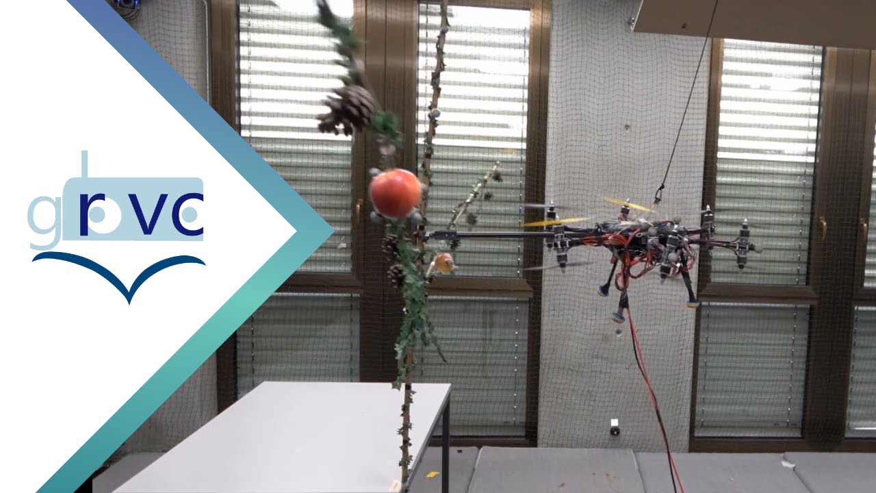How to Shake Trees With Aerial Manipulators A Theoretical and ...