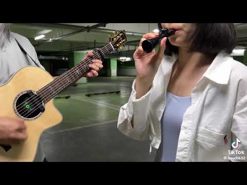 Betsy kazoo - the final countdown 