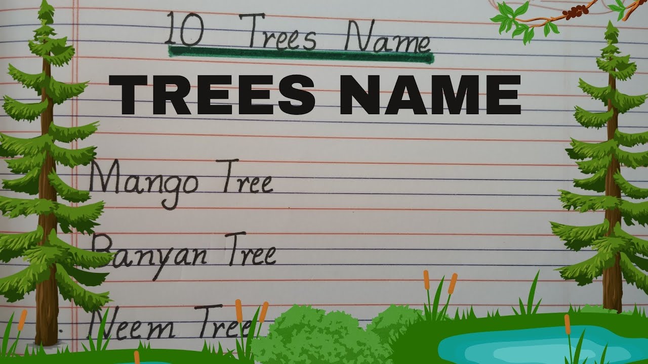 10 Trees Name in English | Trees name - YouTube