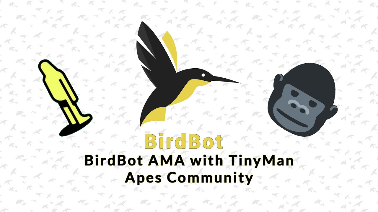 BirdBot AMA with TinyMan Apes Community - YouTube