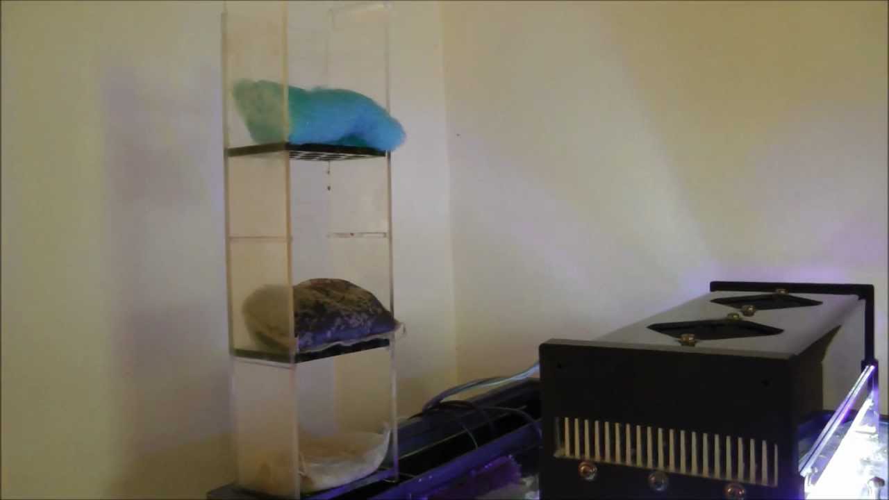 24g Nano Cube Filtration (InTank Media Rack) - YouTube