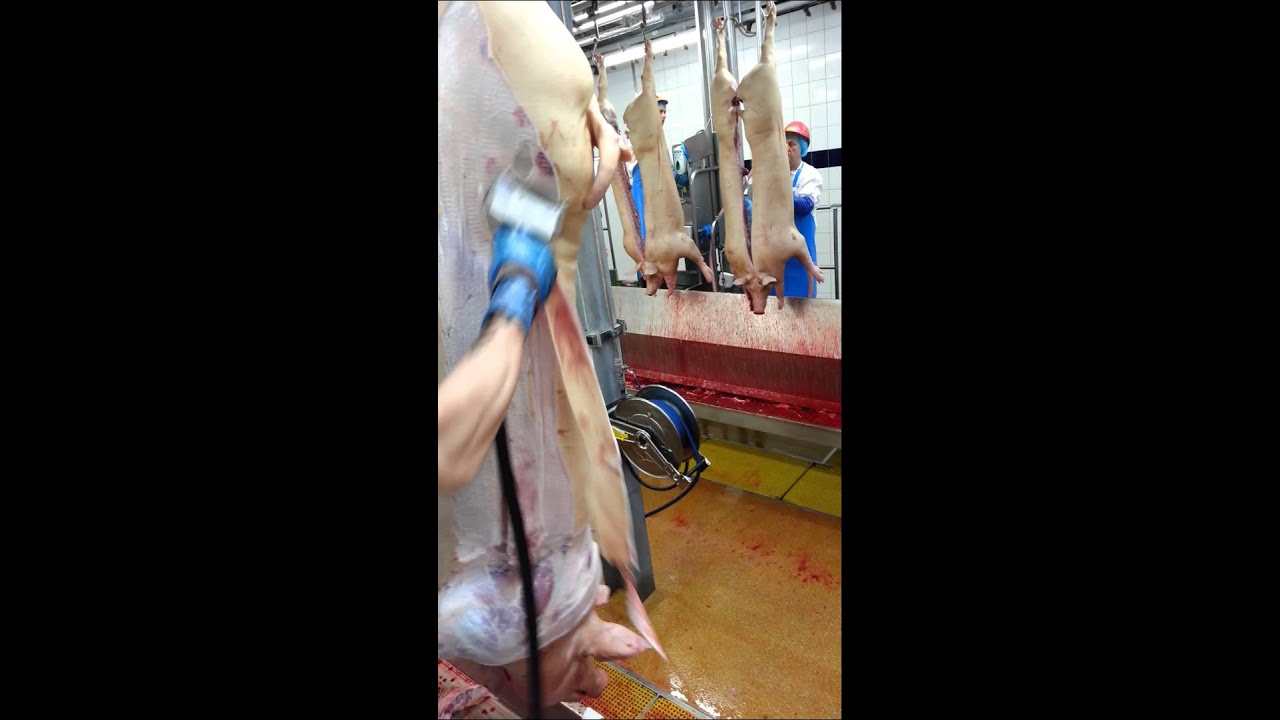 FREUND Hand-Skinner HSK8-P3 Pork Skinning - YouTube