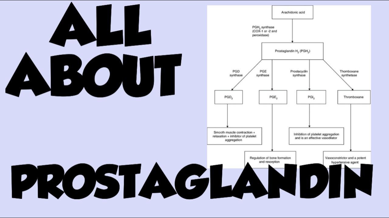 Prostaglandin || Synthesis And types and Uses || #pathology - YouTube
