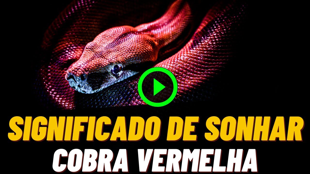 o-que-significa-sonhar-com-cobra-vermelha-veja-aqui-todos-os