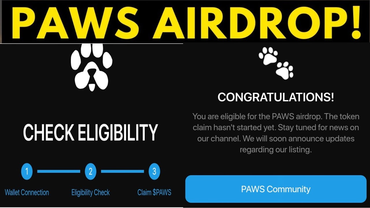paws airdrop eligibility live now| how to check paws eligibility|| paws ...
