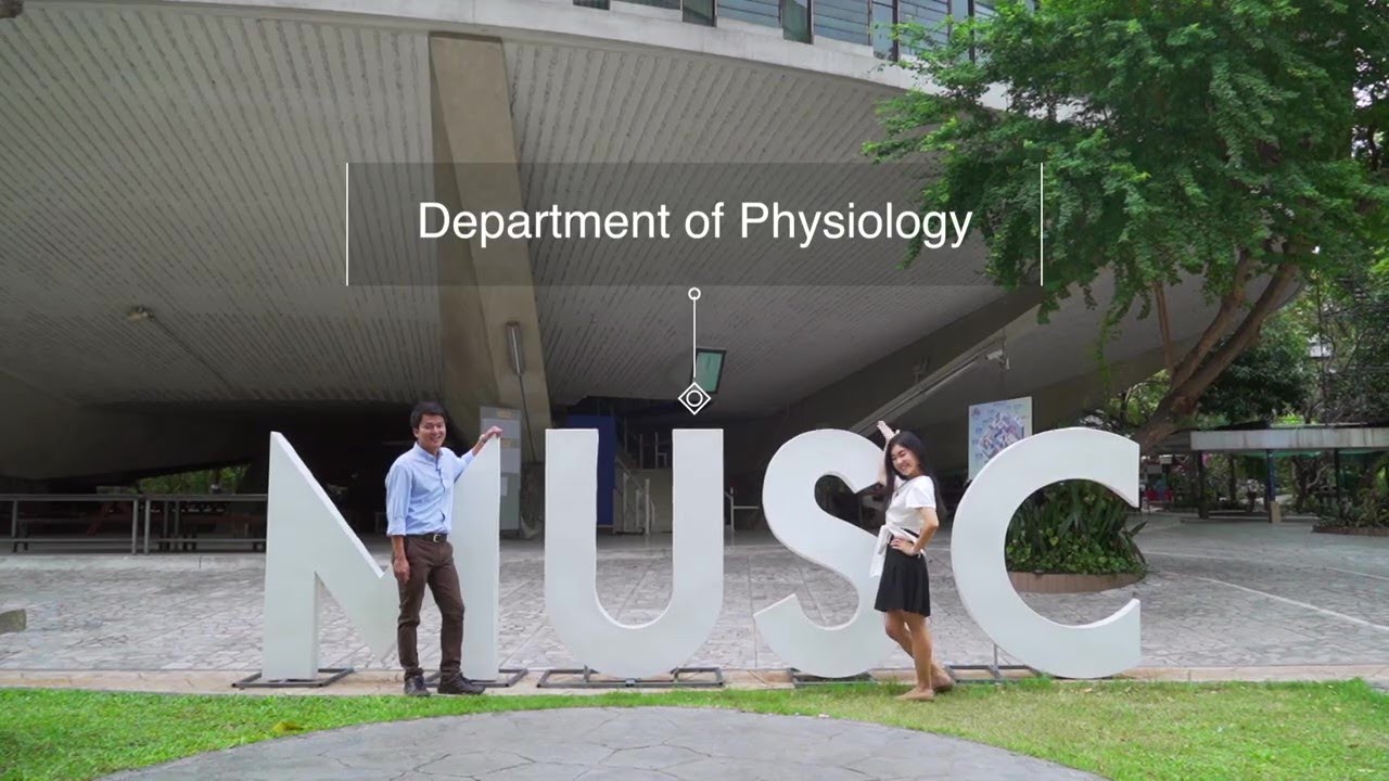 Department of Physiology, Faculty of Science, Mahidol University - YouTube