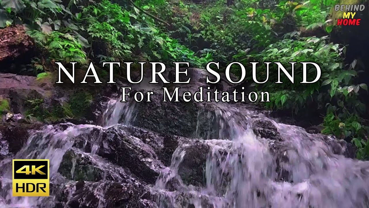 Calm Sound of Beautiful River Water in the Forest for Learning to Sleep ...