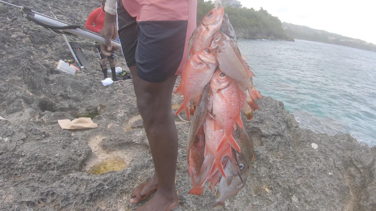 TODAY WAS A WONDERFUL DIVE OF SPEARFISHING | FISHING TRIP - YouTube