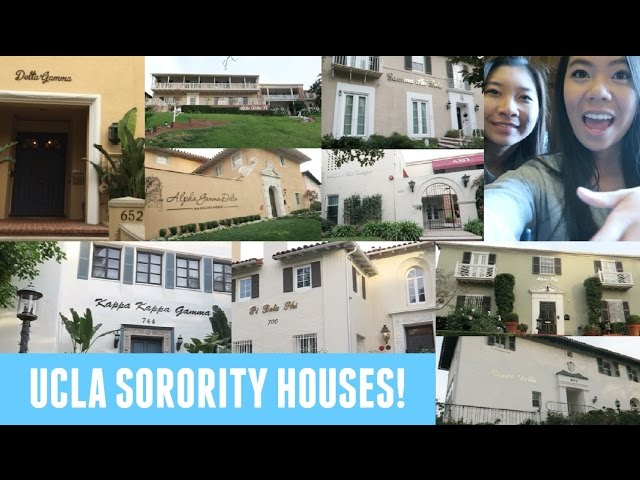 Delta Gamma House Ucla