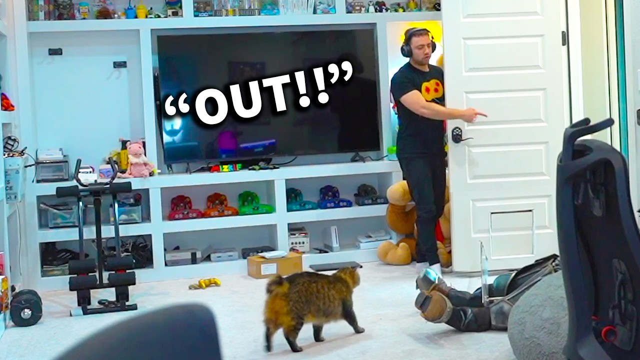 Mizkif finds out his cat is a Juicer - YouTube