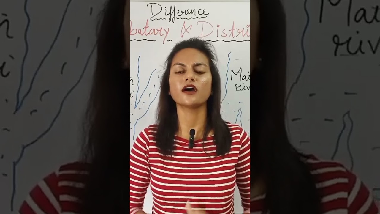 Difference between Tributaries and Distributaries - YouTube