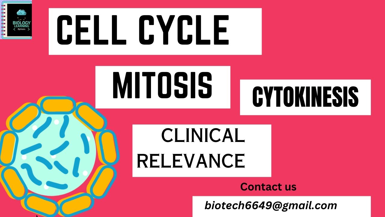 Cell cycle |Mitosis | Phases | Clinical relevance | Errors| Cytokinesis ...