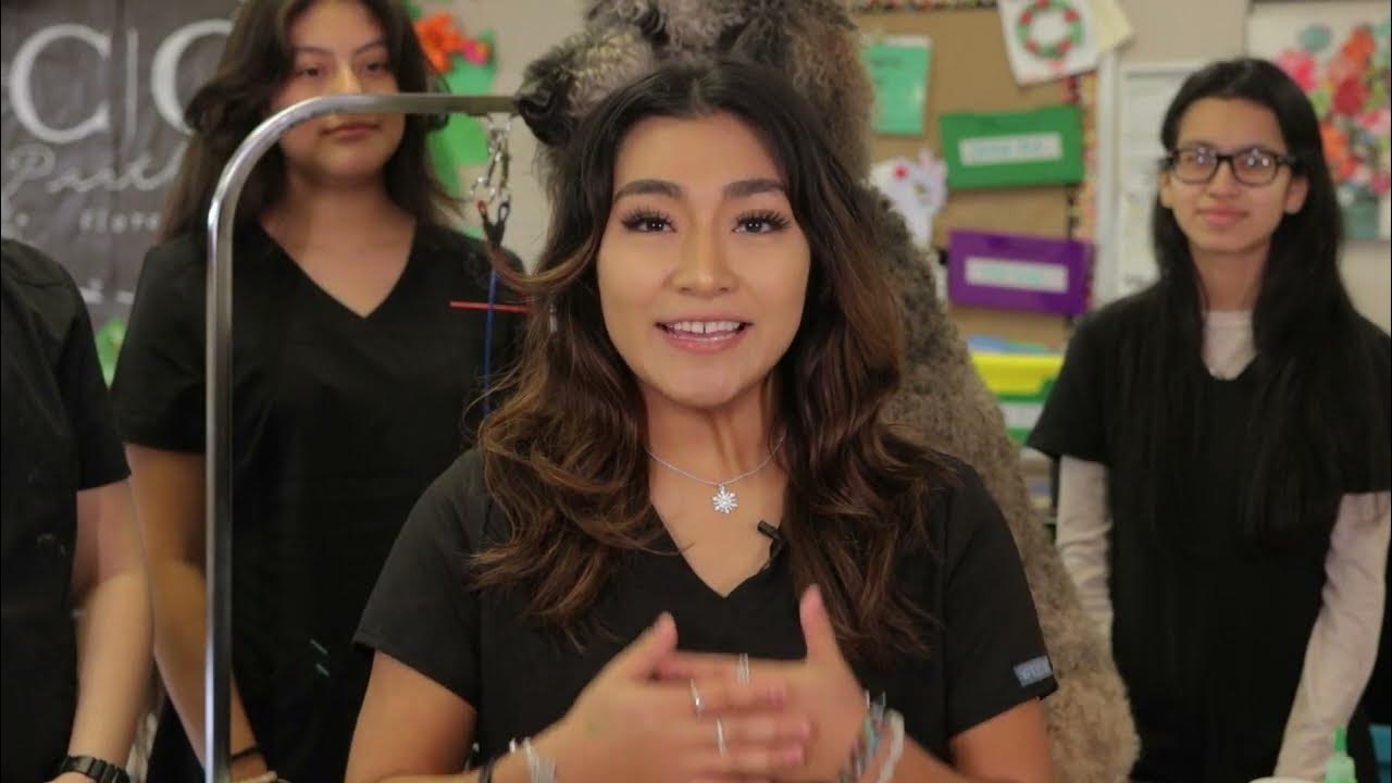 CCHS: Veterans Day - YouTube