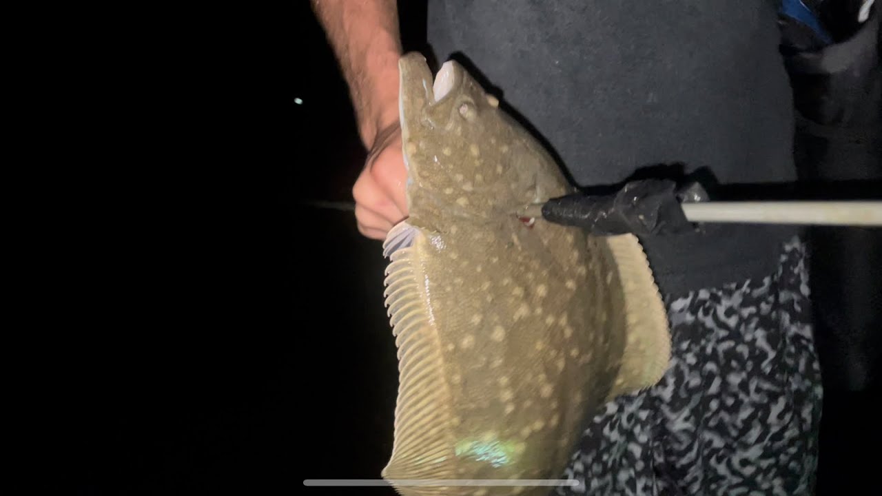 Flounder/stingray gigging and more!!!! (Multi species) - YouTube
